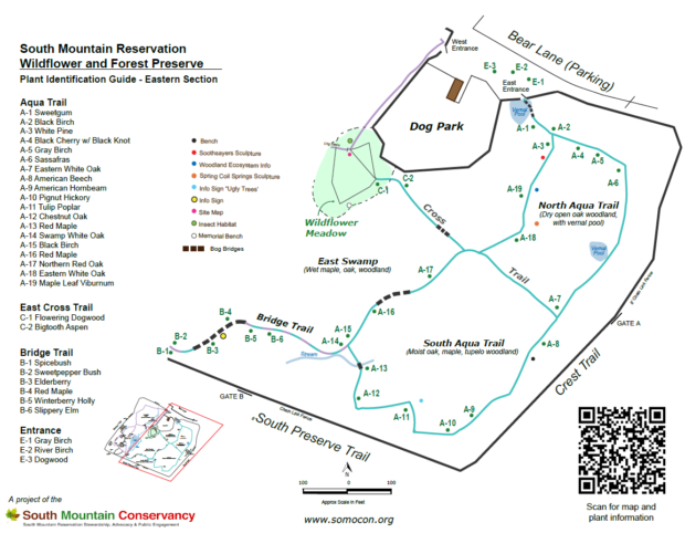 SMR Wildflower & Forest Preserve – Plant Identification Guide – South ...
